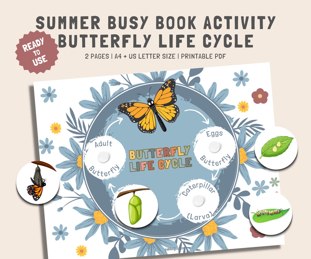 Butterfly Life Cycle Activity, Summer Busy Book Activity for Toddlers ...
