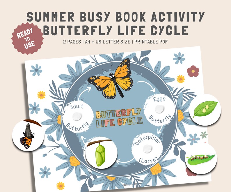 Butterfly Life Cycle Activity, Summer Busy Book Activity for Toddlers ...