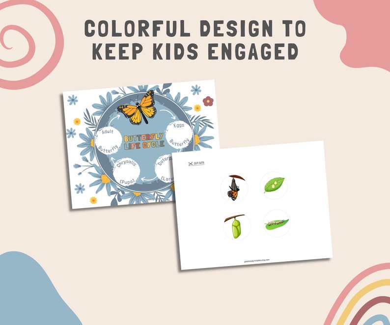 Butterfly Life Cycle Activity, Summer Busy Book Activity for Toddlers ...