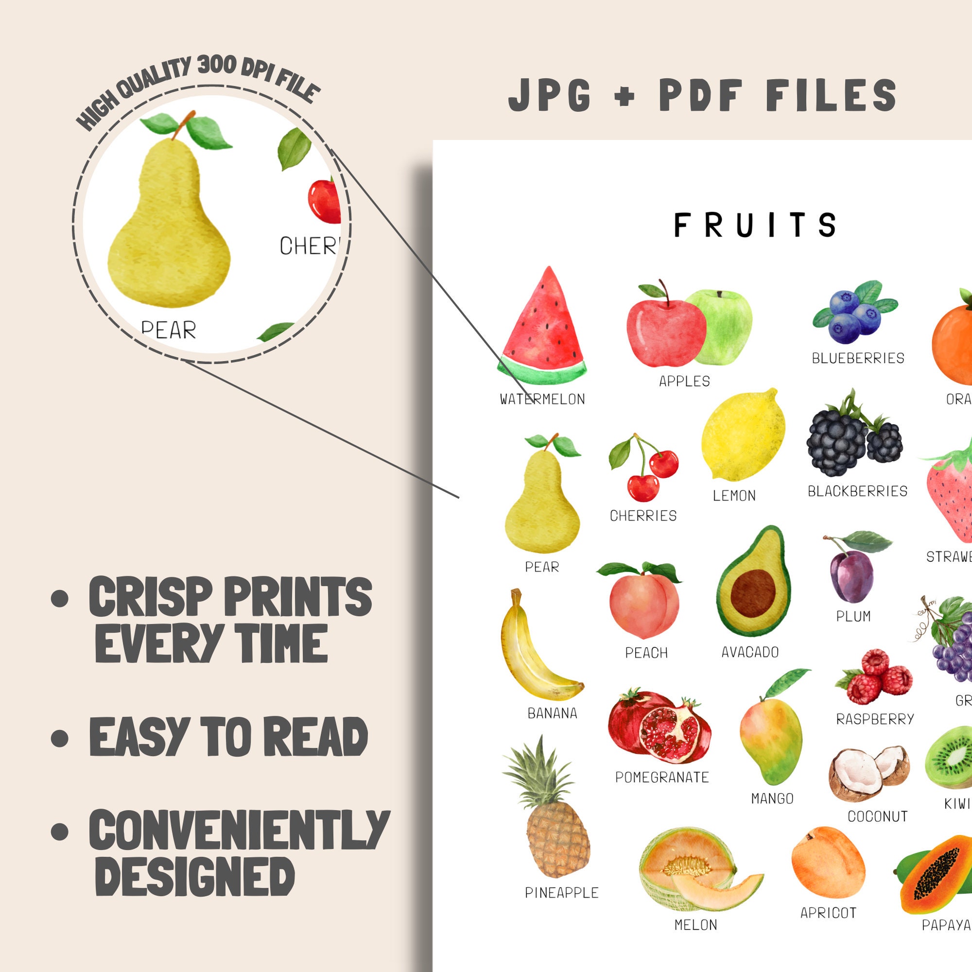 Fruits Educational Poster Educational Prints Classroom - Etsy