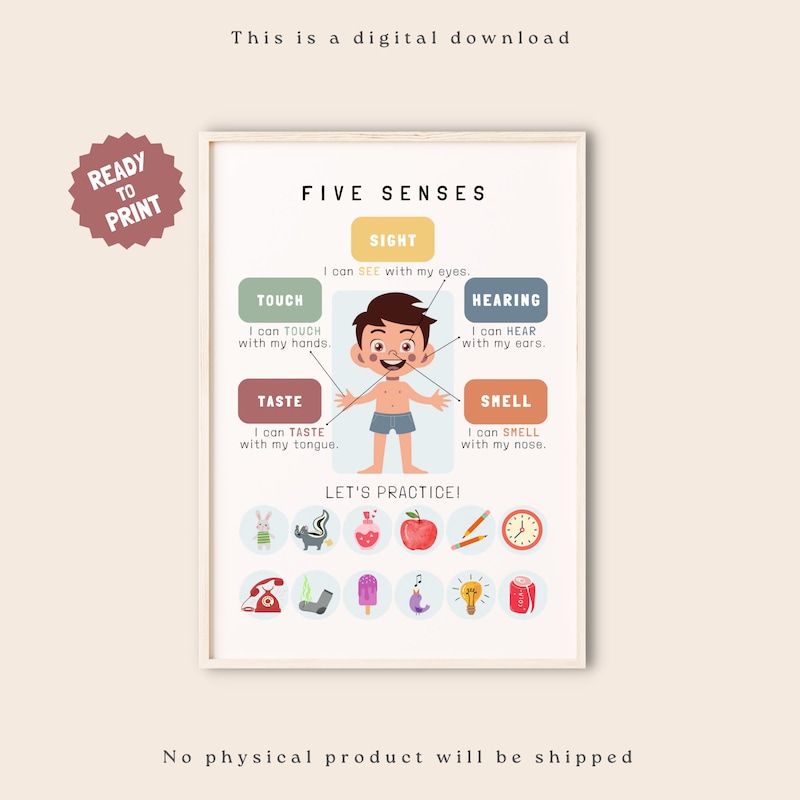 Five Senses Poster - Etsy
