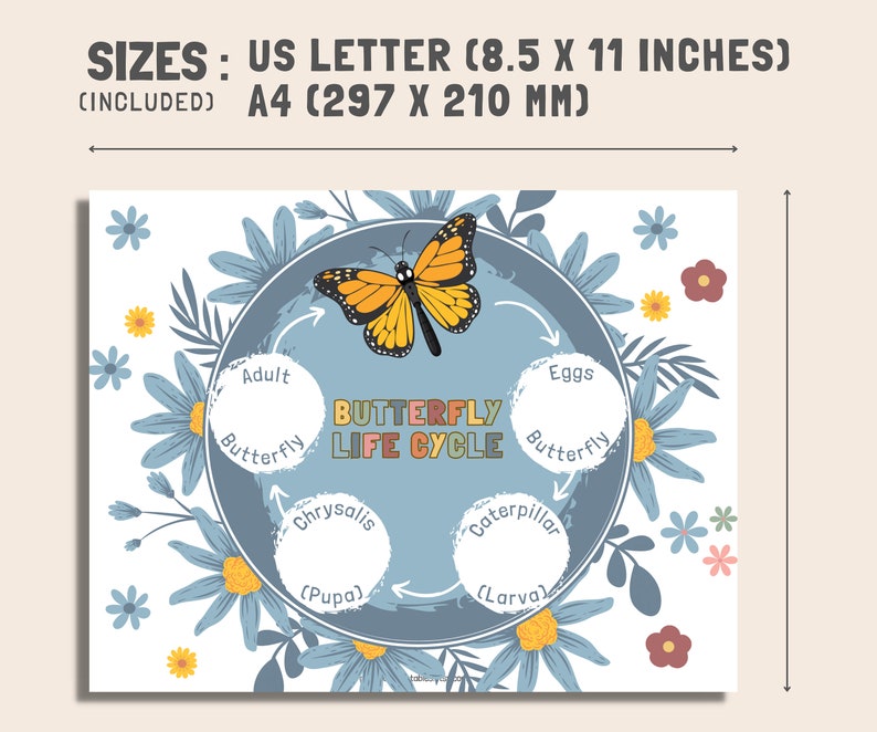 Butterfly Life Cycle Activity, Summer Busy Book Activity for Toddlers ...