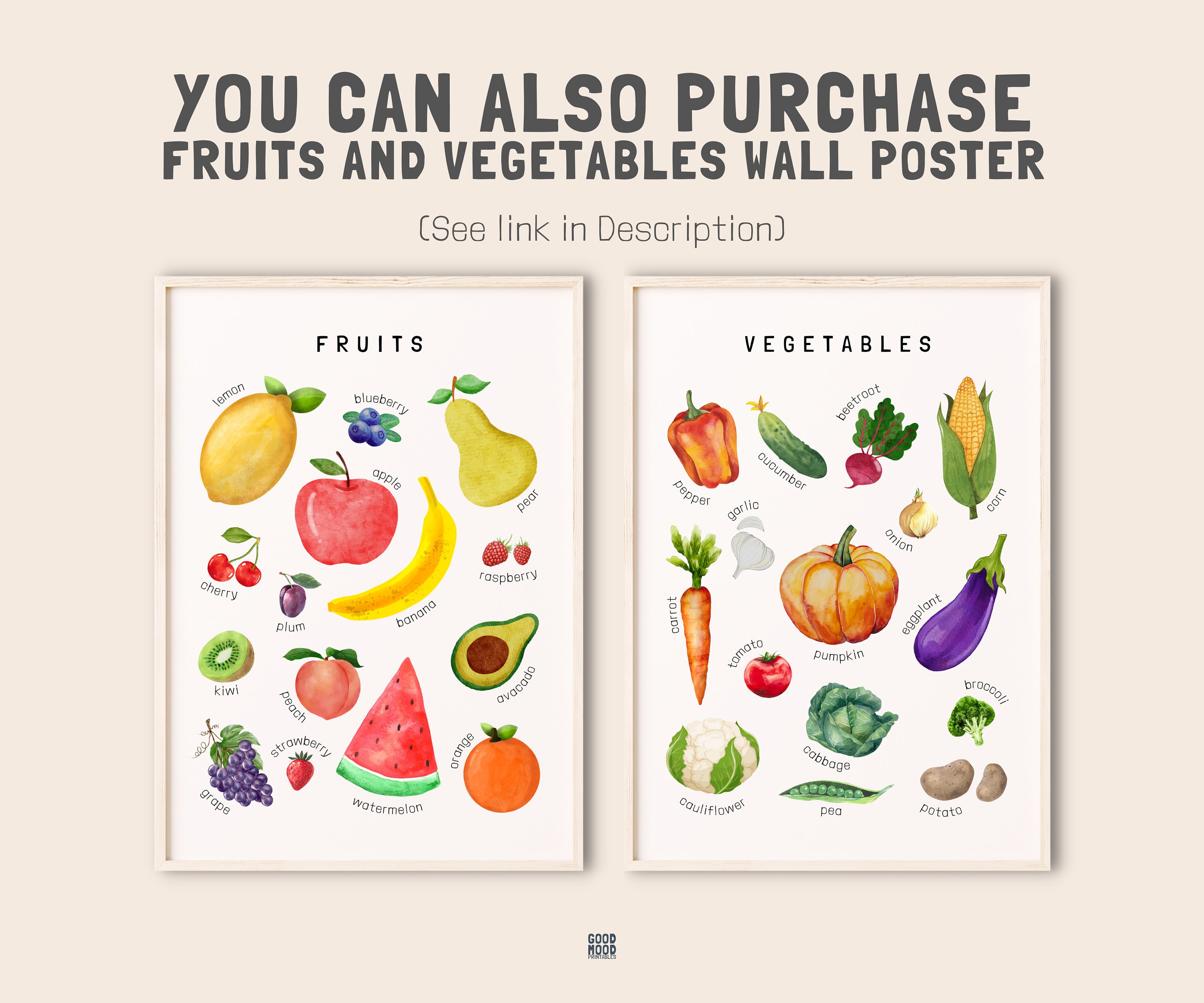 30 Obst und Gemüse Karten Montessori Karteikarten - Etsy.de