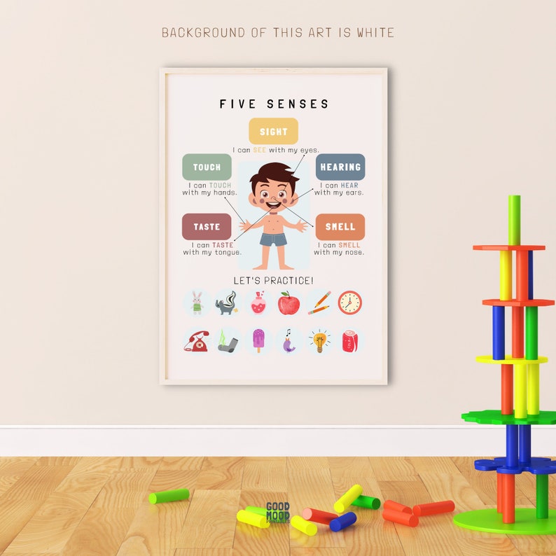 Five Senses Poster Montessori Homeschool educational Poster - Etsy