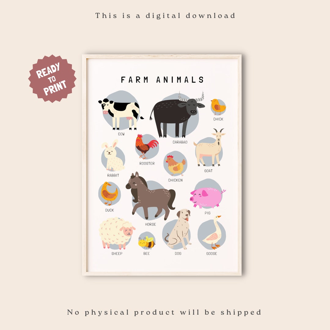 Farm Animals Educational Posters, Homeschool Preschool Downloadable ...
