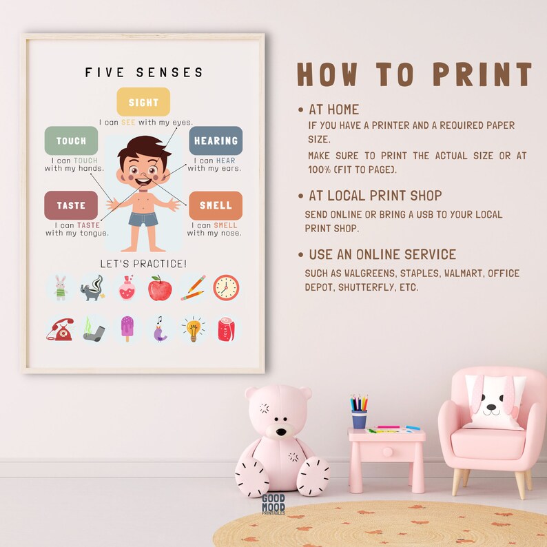 Five Senses Poster Montessori Homeschool educational Poster - Etsy
