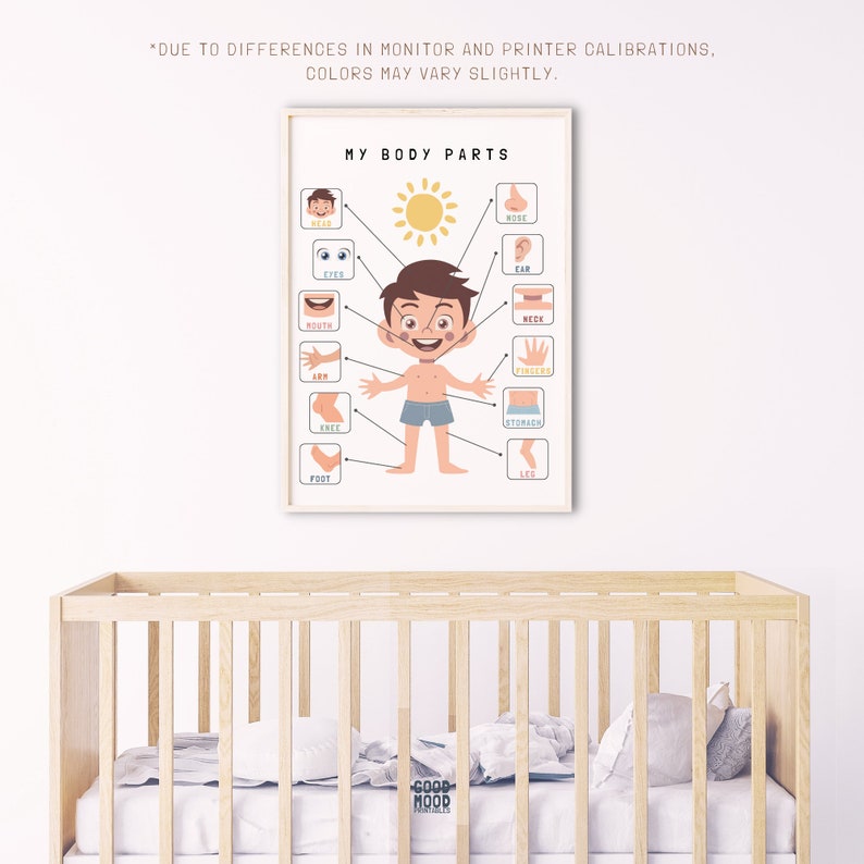 My Body Parts Educational Poster Printable Wall Art Anatomy - Etsy