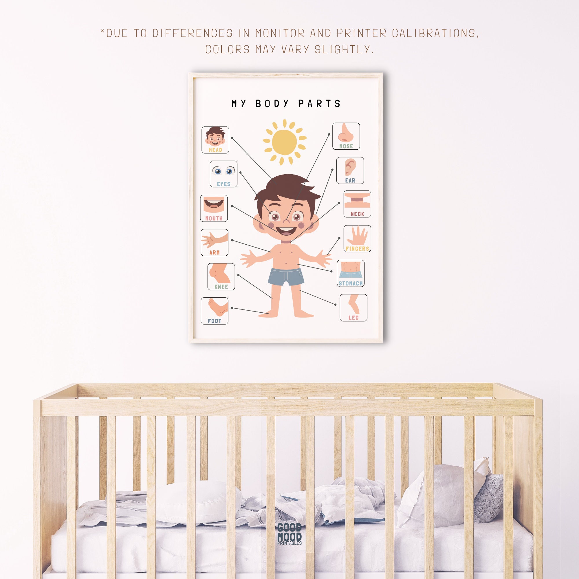 My Body Parts Educational Poster Printable Wall Art Anatomy - Etsy