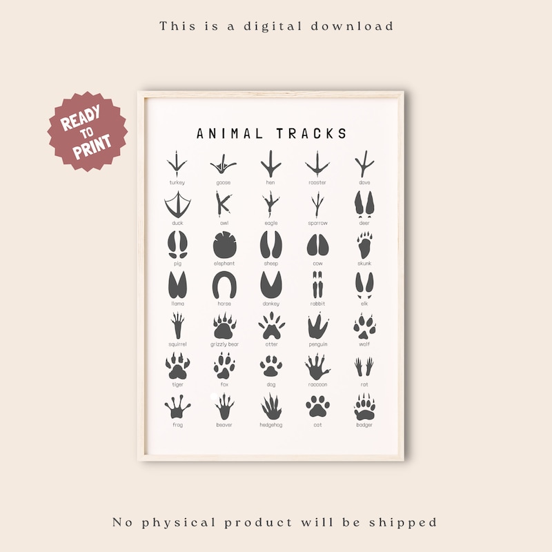 Animal Tracks - Etsy