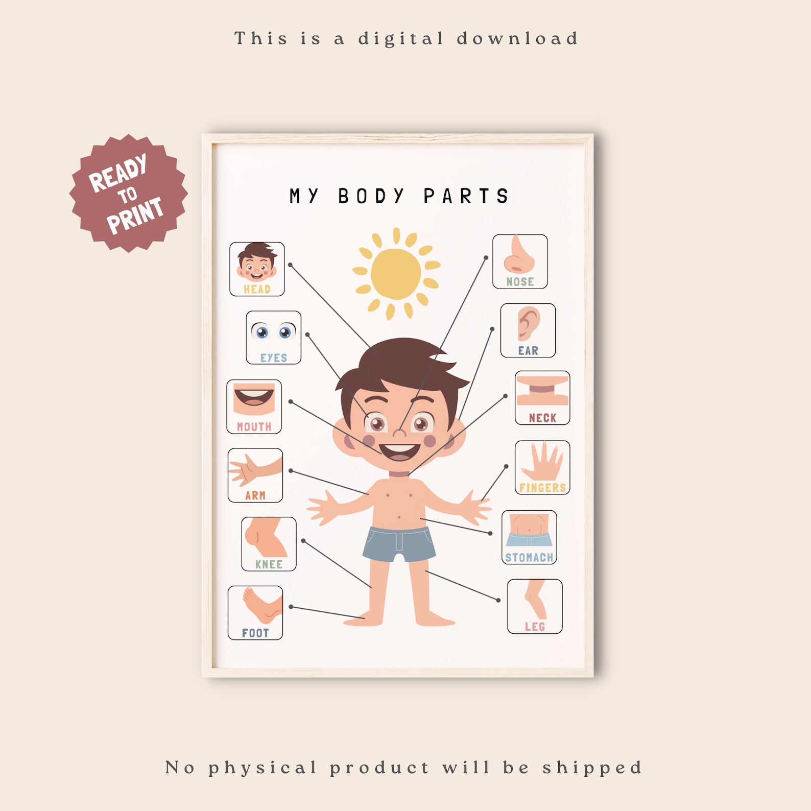 My Body Parts, Educational Poster, Printable Wall Art, Anatomy Poster ...