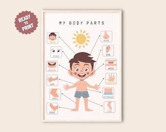 My Body Parts Poster Montessori Homeschool Educational Poster for Boys ...