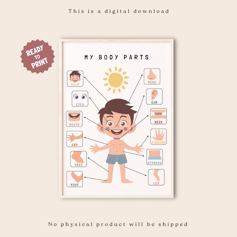 My Body Parts, Educational Poster, Printable Wall Art, Anatomy Poster ...