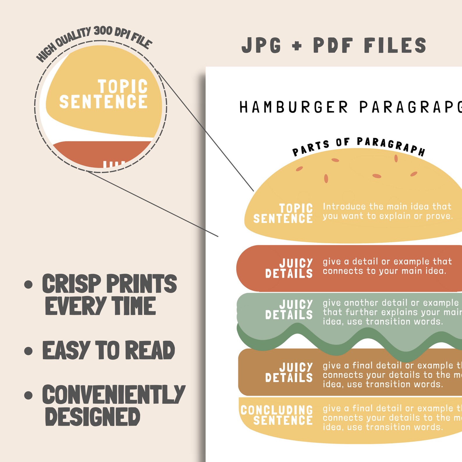 Hamburger Paragraph Poster, Middle High School English Classroom Decor ...