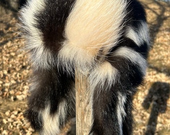 Davy Crockett Hat Daniel Boone Style Hat Grey Coonskin Real Skunk Fur ...