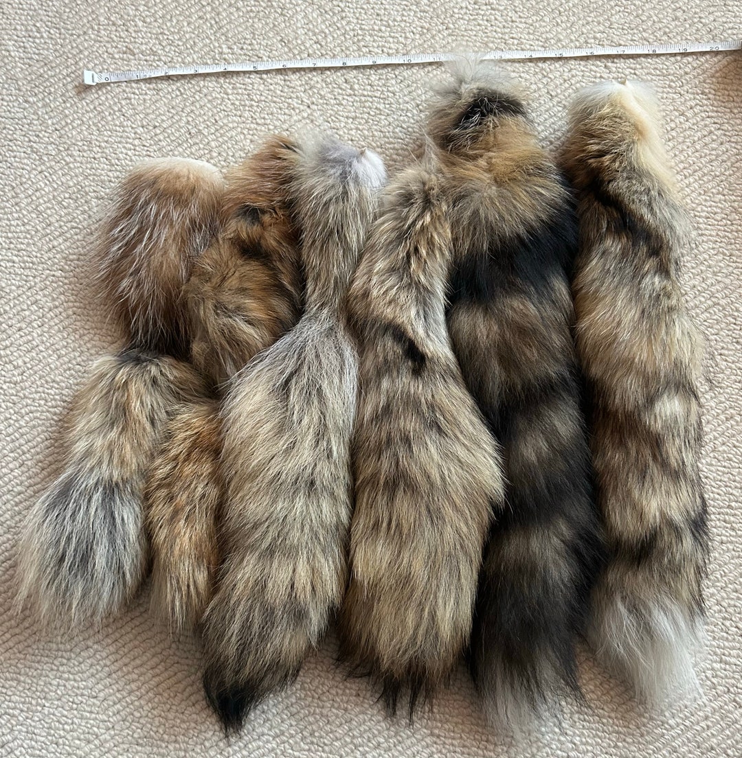 Genuine Assorted Fur Tails - Etsy