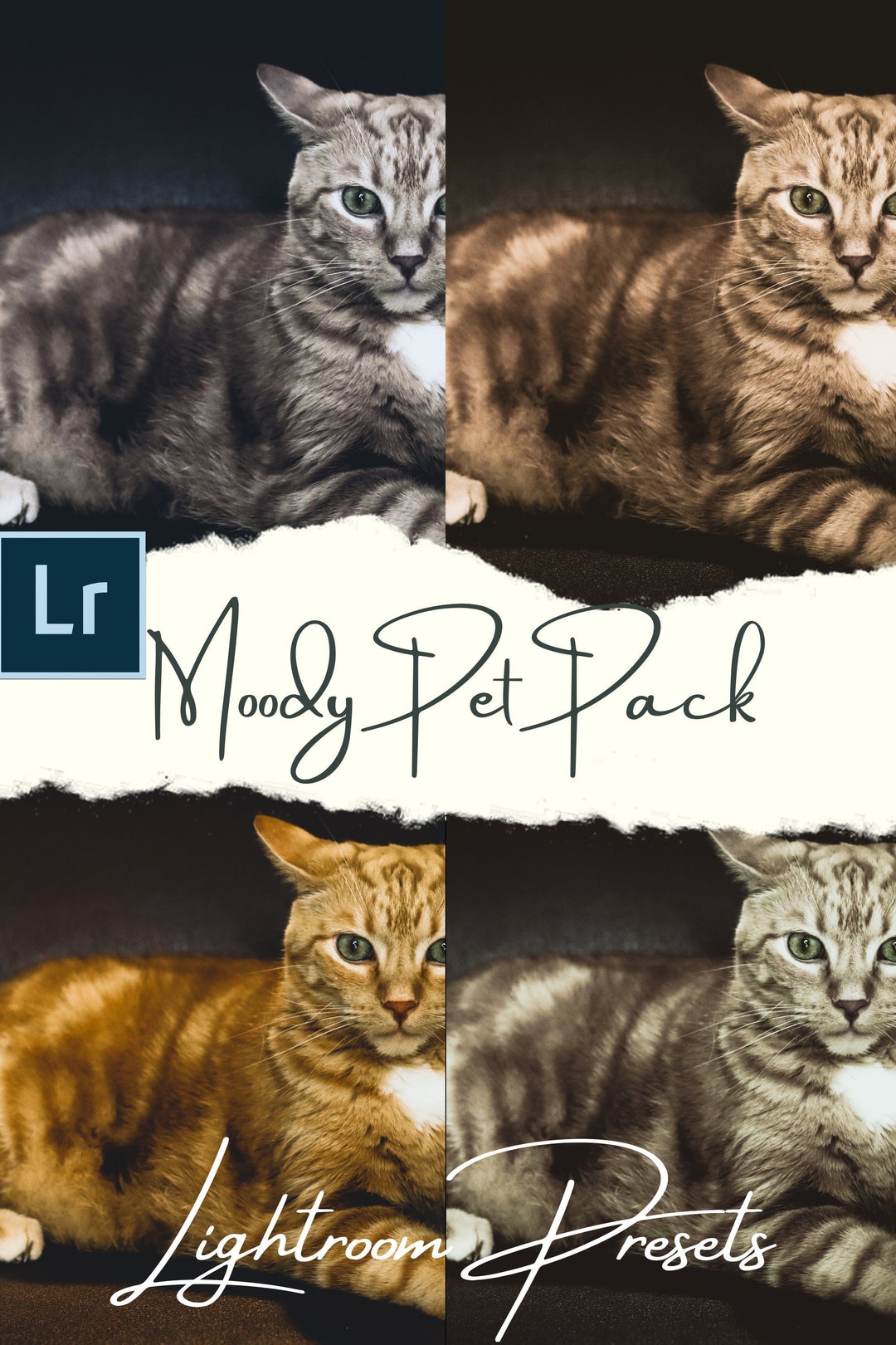 Moody Pet Lightroom Preset Pack - Etsy