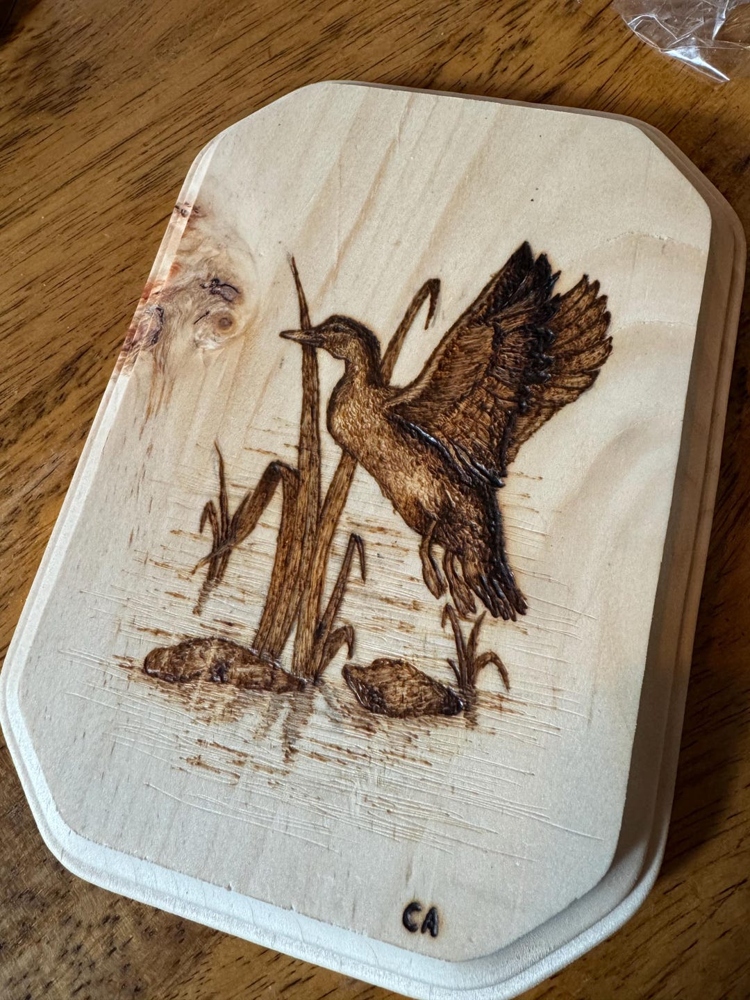 Wood Burned Duck - Etsy