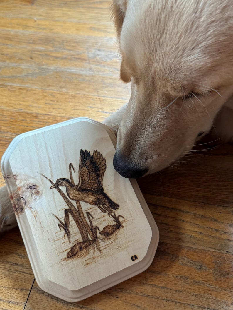 Wood Burned Duck - Etsy