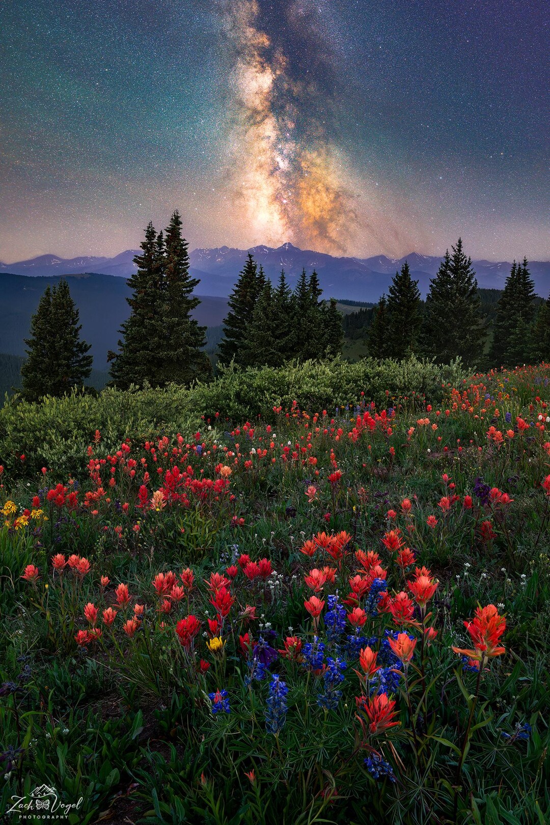 Colorado Mount of the Holy Cross Wildflowers Milky Way Landscape, Gore ...
