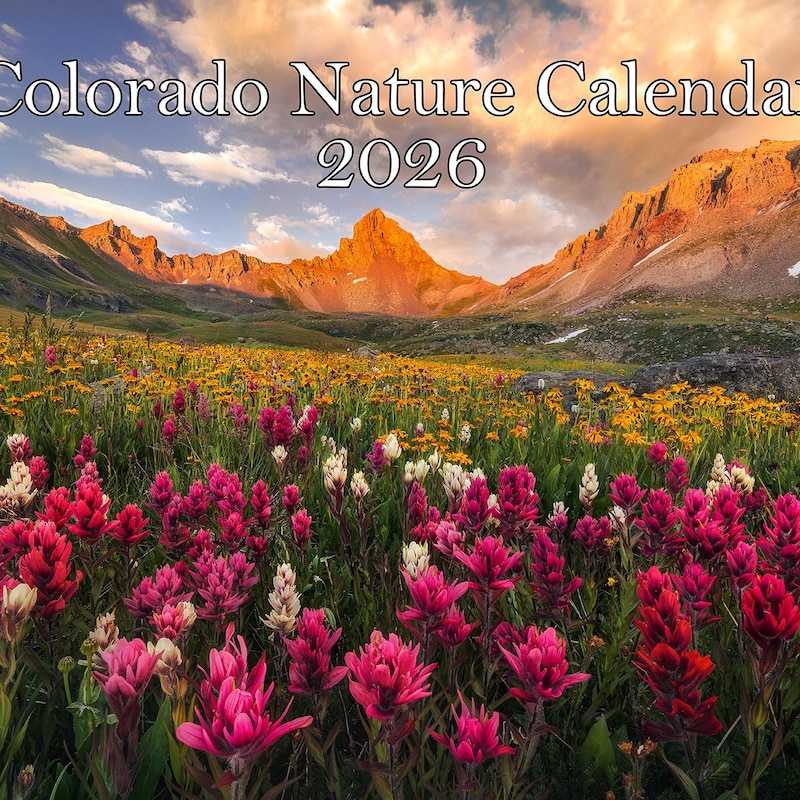 2026 Mountain Planner - Etsy