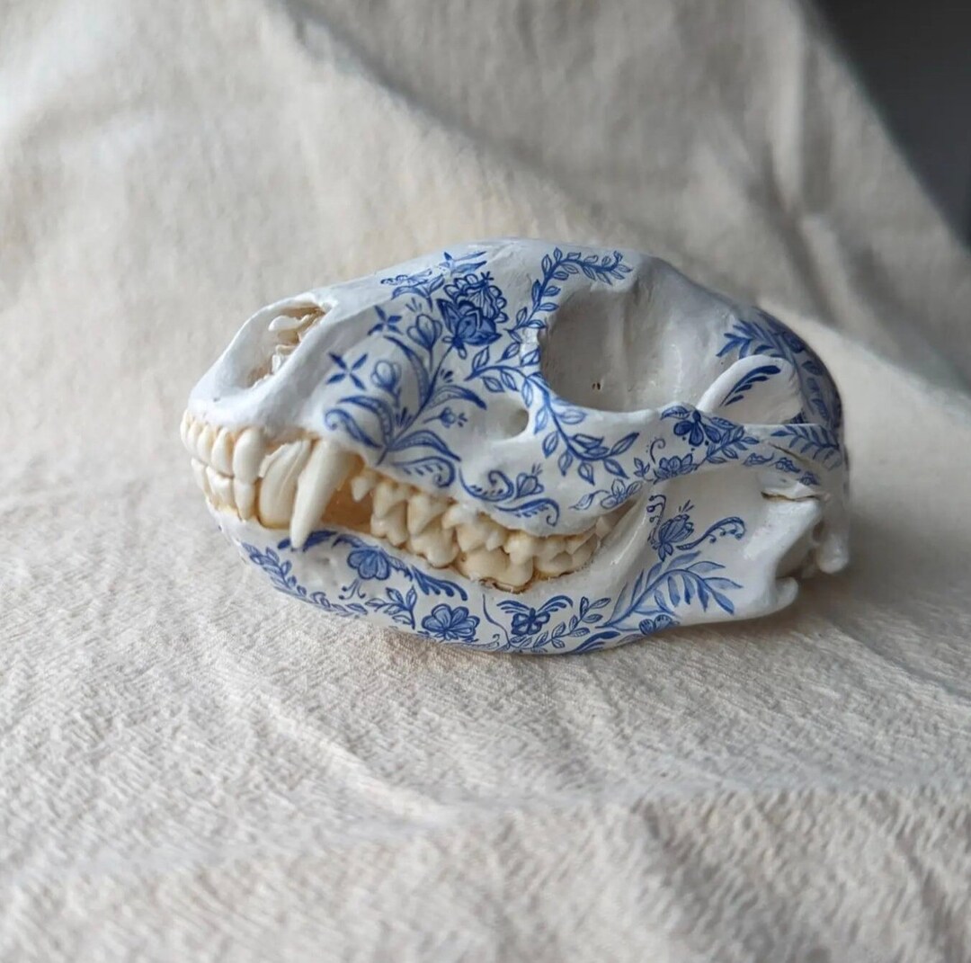 Hand Painted Blue Floral Raccoon Skull - Etsy
