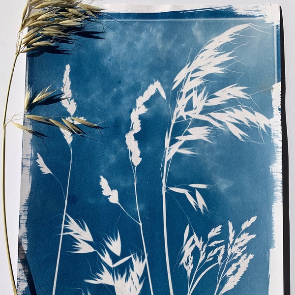 Cyanotype Print - Etsy
