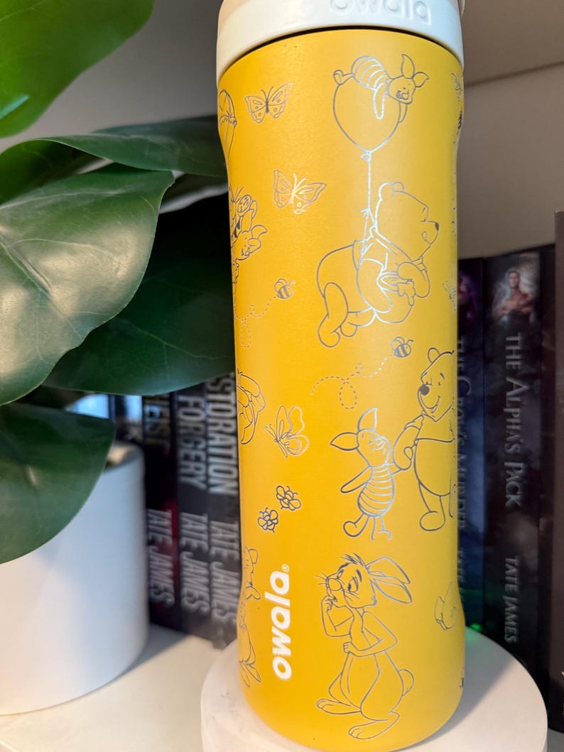 Engraved Winnie the Pooh Owala Water Bottle | Spill Proof Tumbler - Etsy
