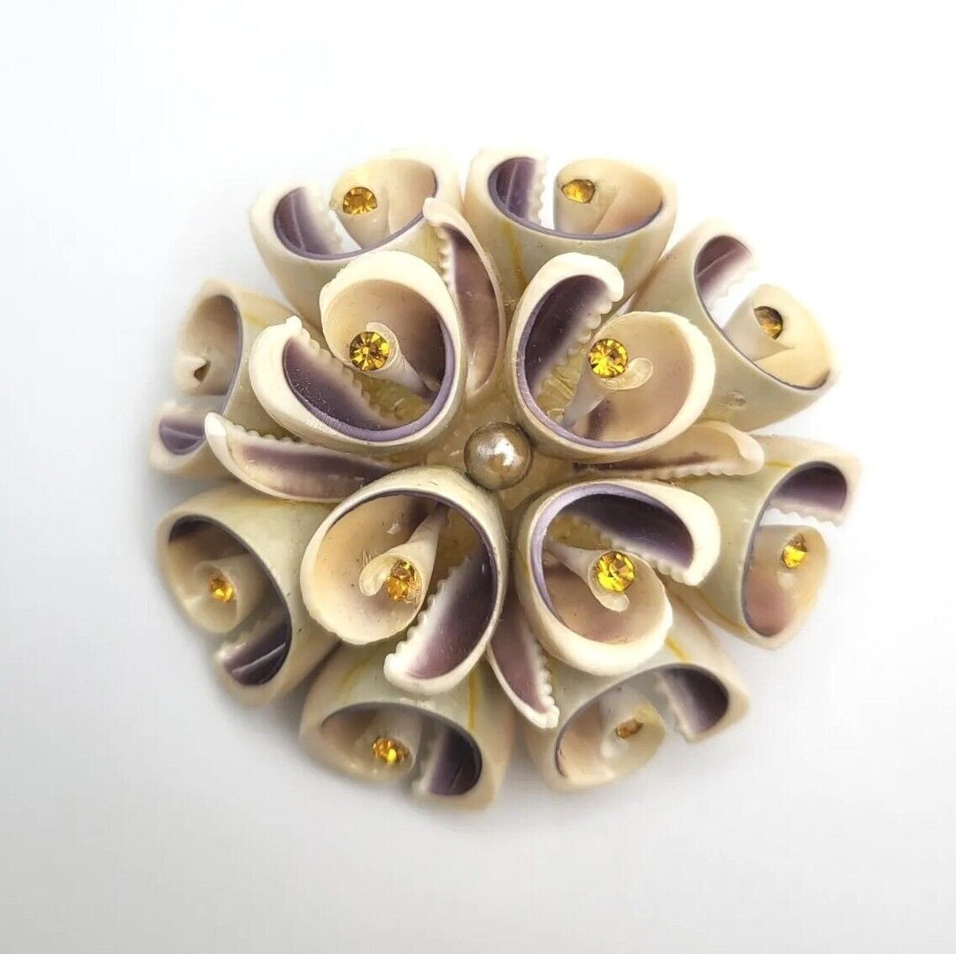 Brooch Midcentury Pin Jewelry Sea Shell Brooch 2.25in Wide - Etsy
