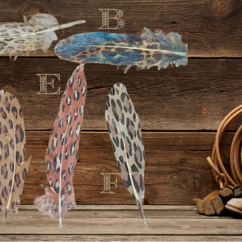 Feather Print - Etsy