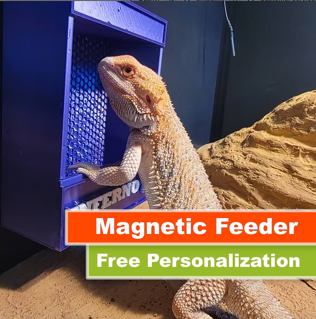 MAGNETIC Personalized Bearded Dragon, Gecko, Chameleon Feeder - Etsy