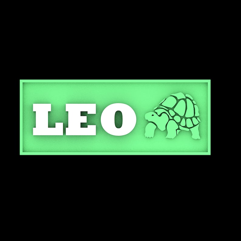 Magnetic Reptile Name Tag bearded Dragon Tortoise - Etsy