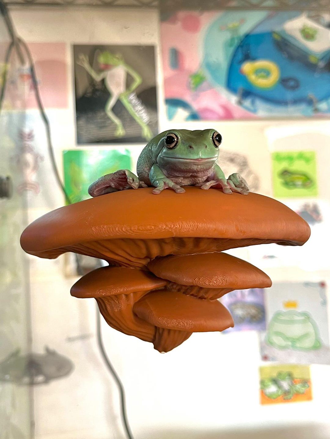 Magnetic Mushroom Ledge for Frogs, Geckos, Chameleons, Reptiles - Etsy