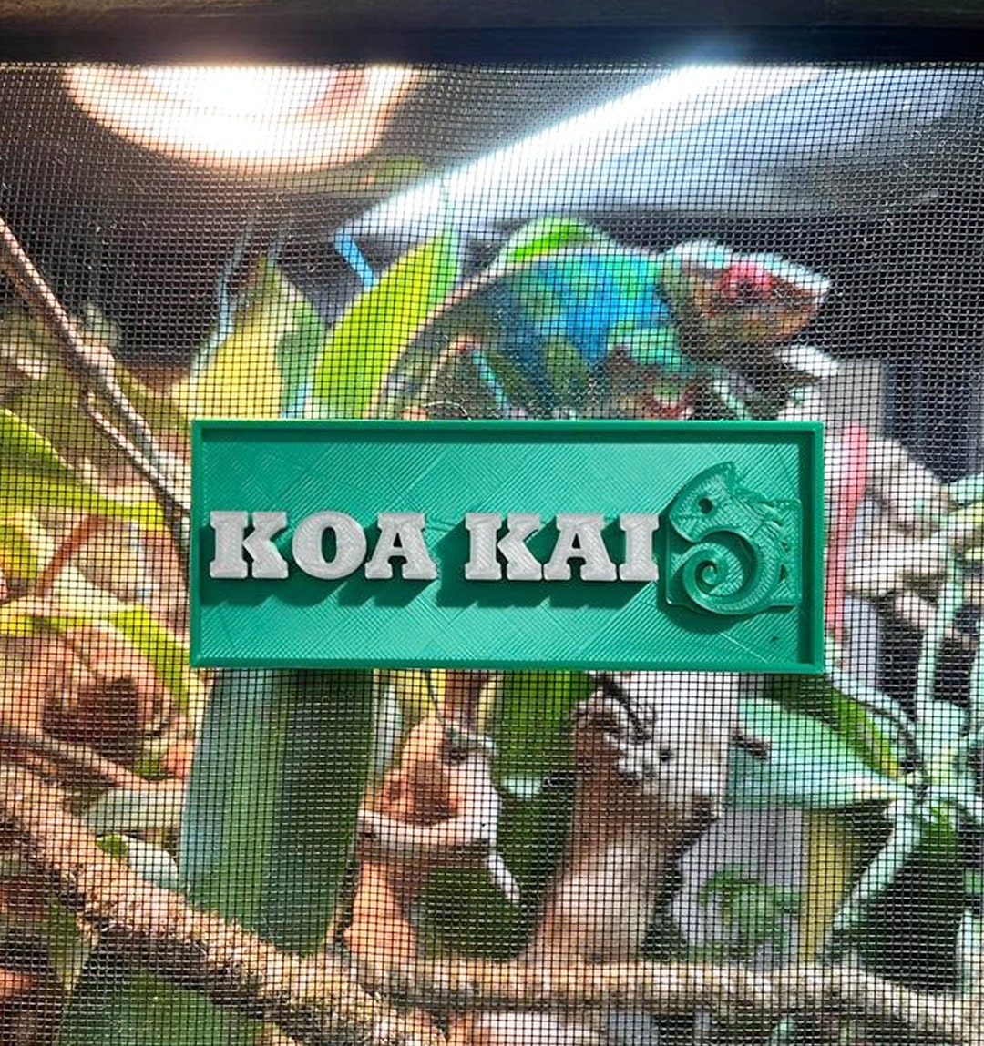 Magnetic Reptile Name Tag (bearded Dragon, Tortoise, Chameleon) - Etsy