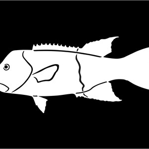 California Sheephead Sticker, Detailed Silhouette, Vinyl Fish Decal ...