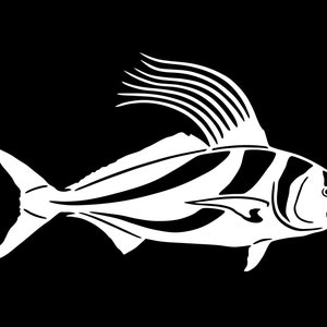 Roosterfish White Vinyl Decal, Saltwater Fishing Sticker, Keeper ...