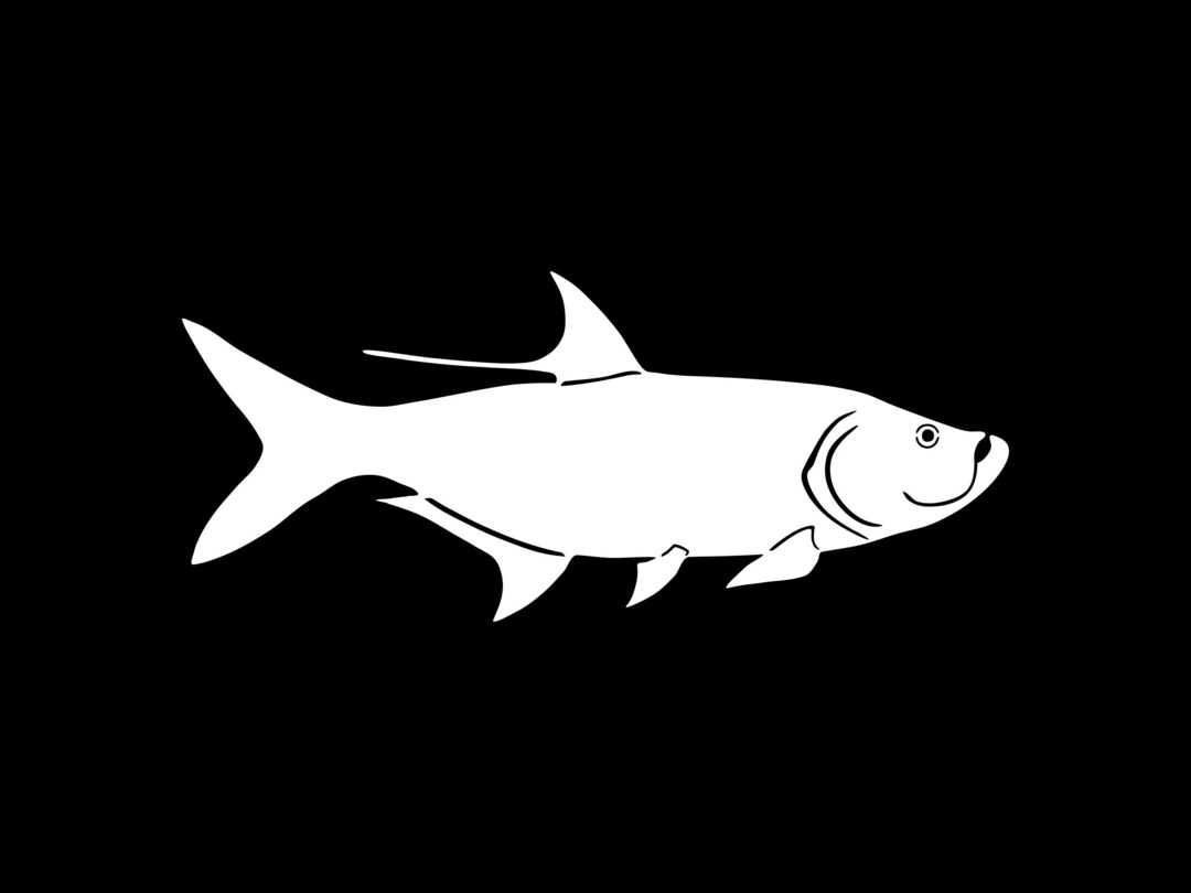 Tarpon Sticker, Detailed Silhouette, Vinyl Fish Decal, Made in U.S.A ...