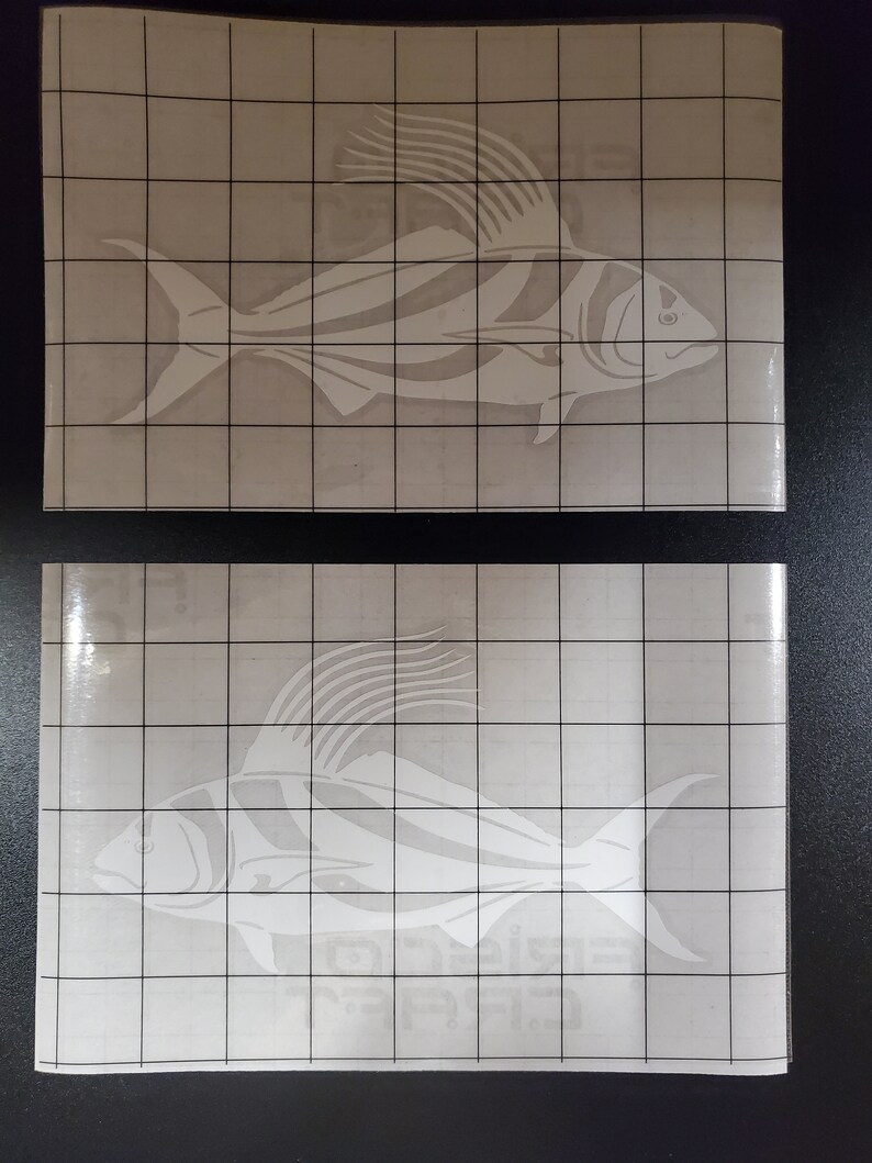 Roosterfish White Vinyl Decal, Saltwater Fishing Sticker, Keeper ...