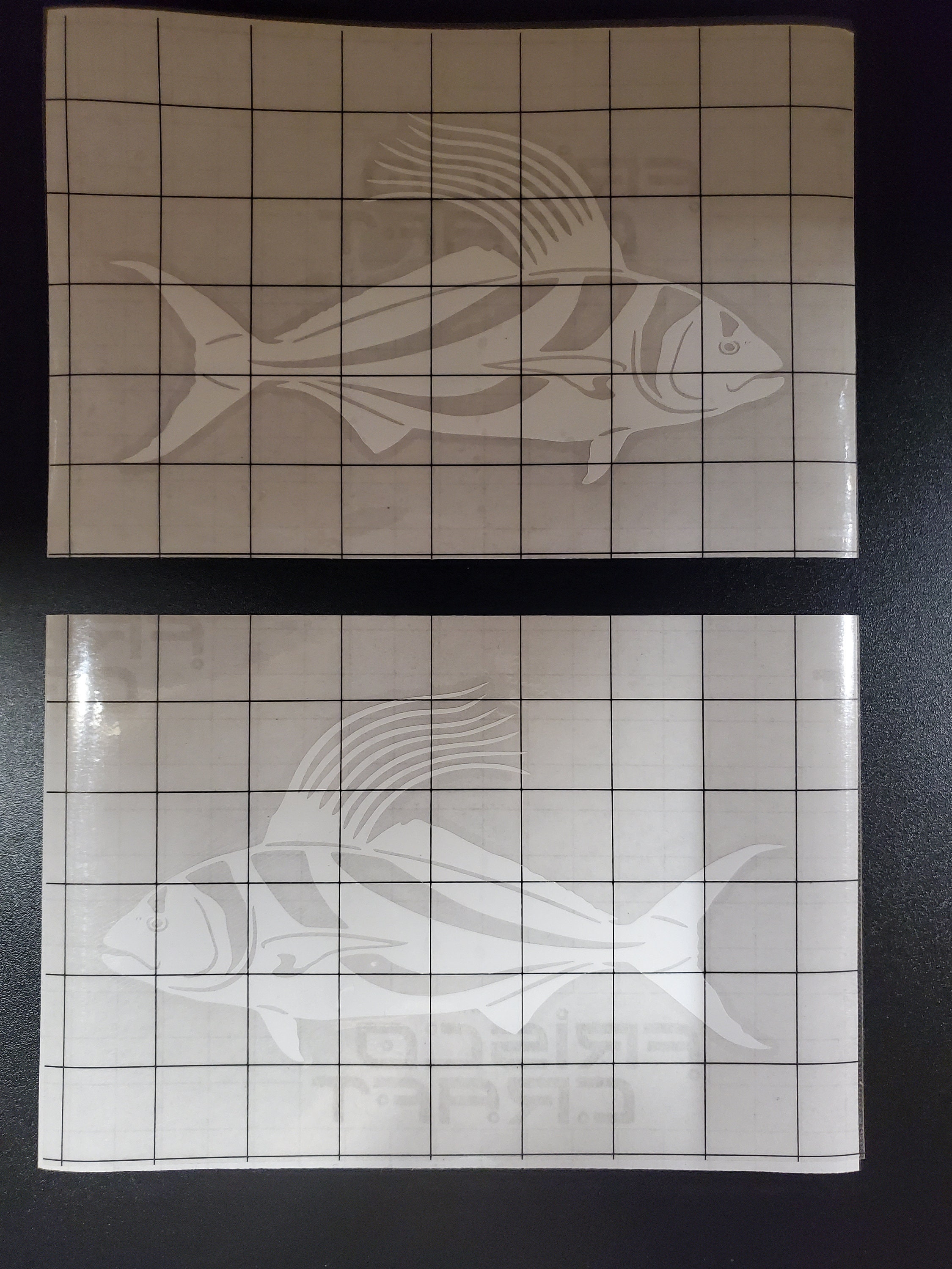 Roosterfish White Vinyl Decal, Saltwater Fishing Sticker, Keeper ...