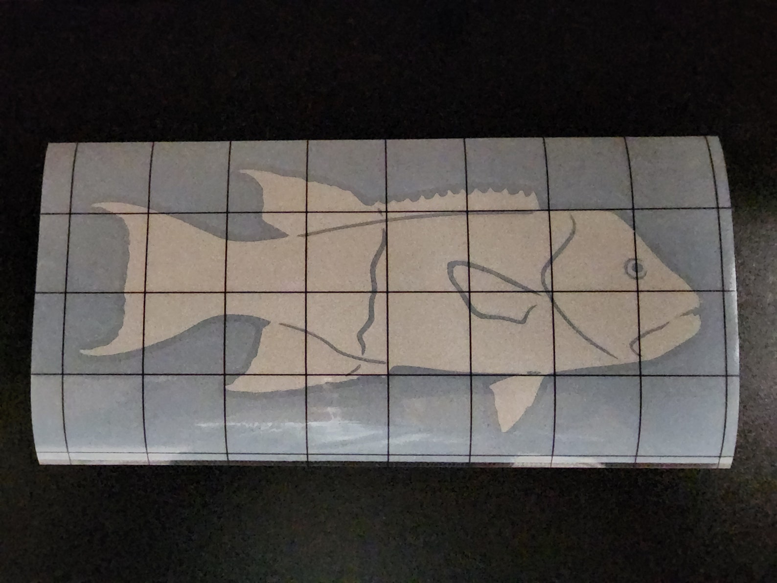 California Sheephead Sticker, Detailed Silhouette, White Vinyl Fish ...