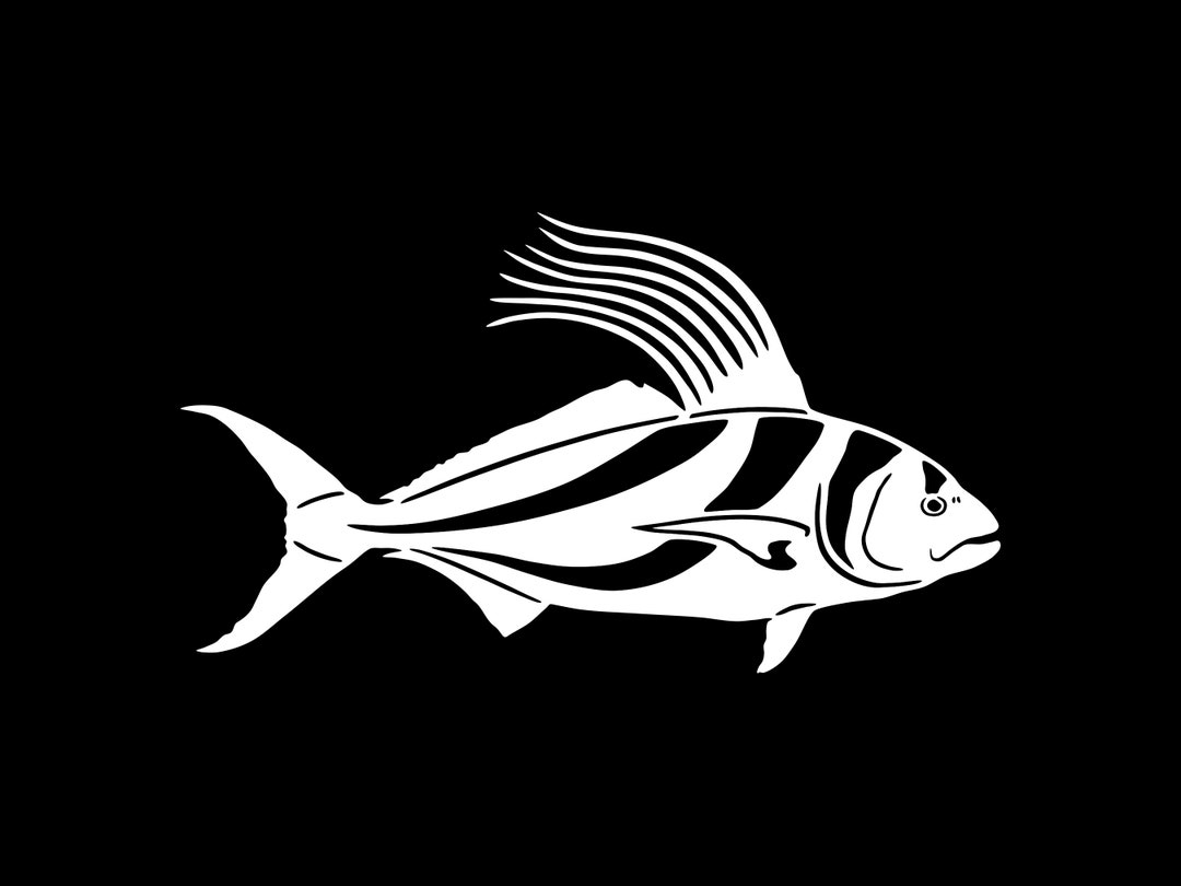 Roosterfish White Vinyl Decal Saltwater Fishing Sticker - Etsy