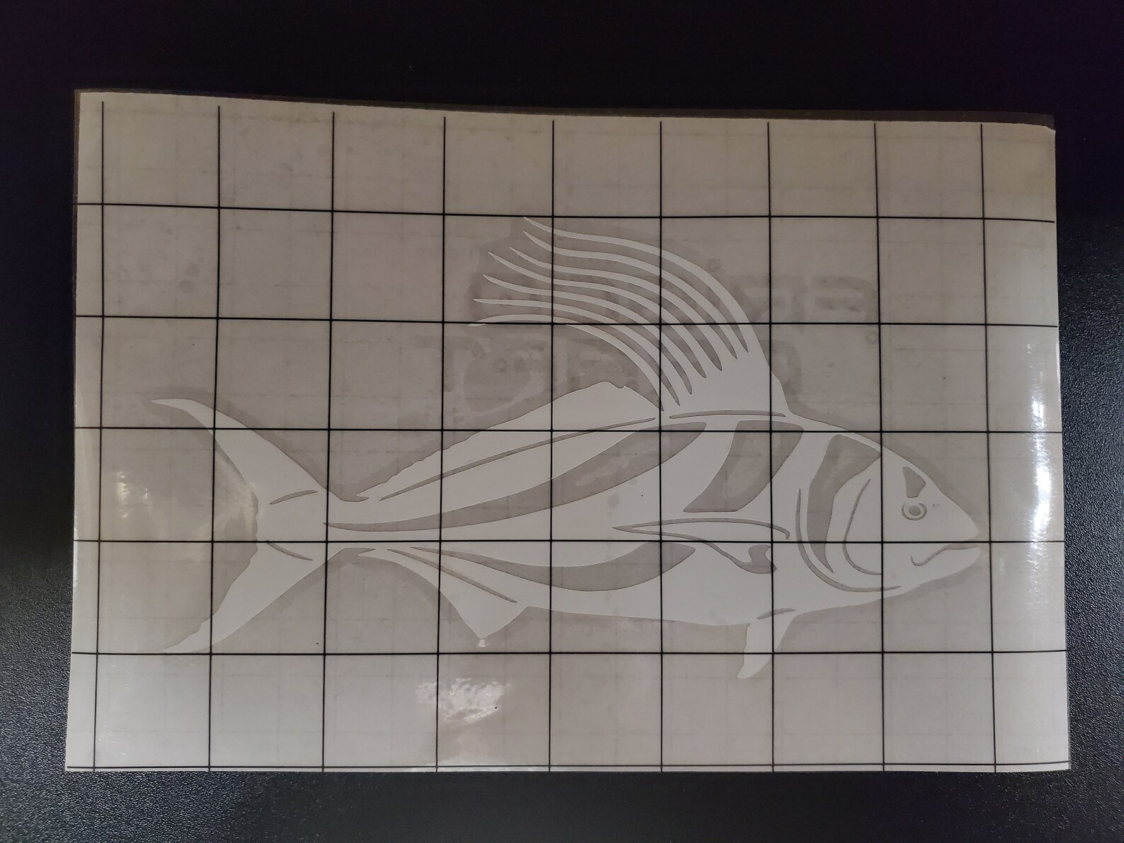 Roosterfish White Vinyl Decal, Saltwater Fishing Sticker, Keeper ...