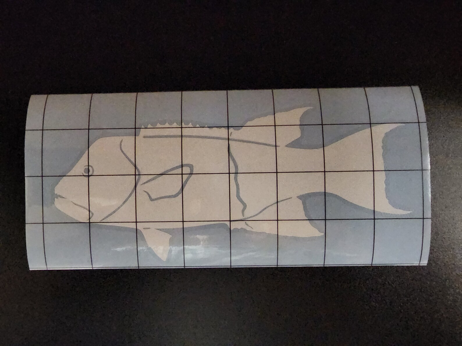 California Sheephead Sticker, Detailed Silhouette, White Vinyl Fish ...