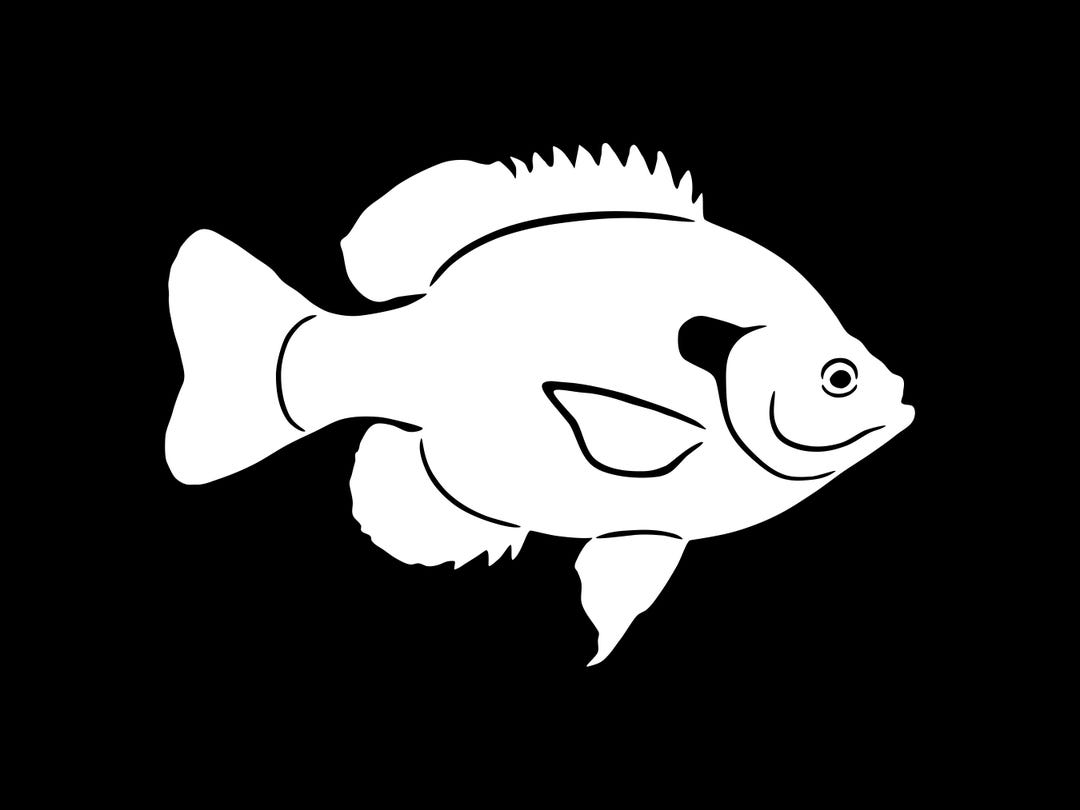 Bluegill Sticker, Detailed Silhouette, Vinyl Decal, Fish Sticker, Made ...