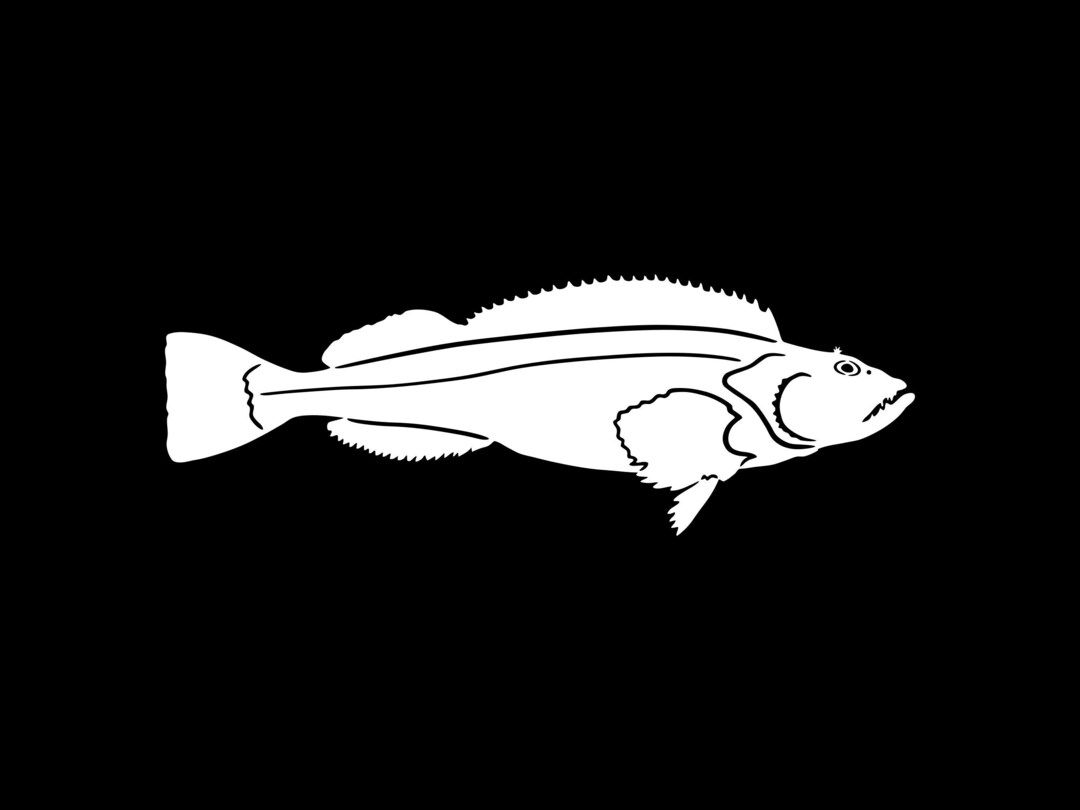 Lingcod Sticker, Detailed Silhouette, Vinyl Decal, Fish Sticker, Made ...