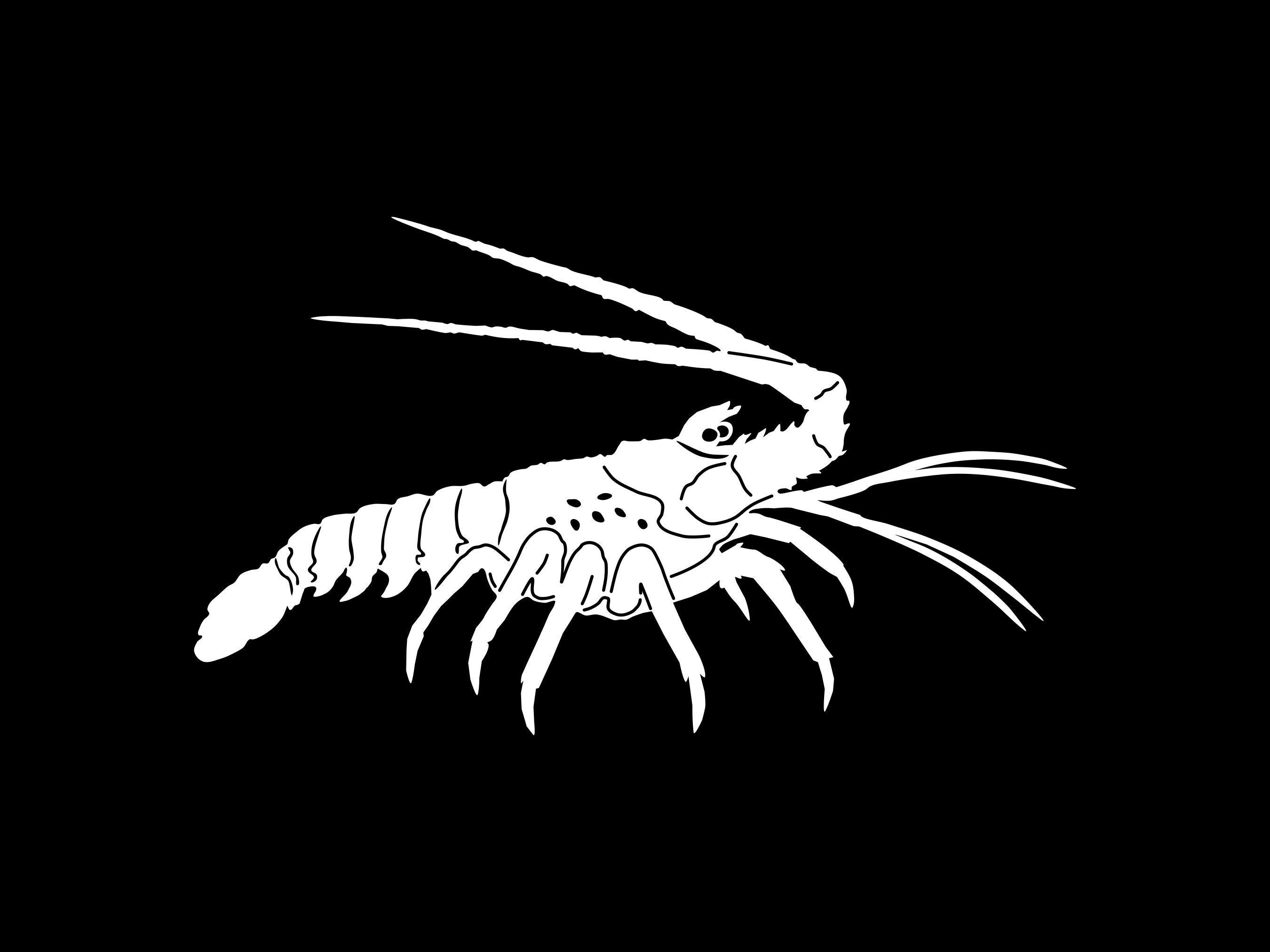 Spiny Lobster Sticker, White Vinyl Decal, Detailed Silhouette, Car ...