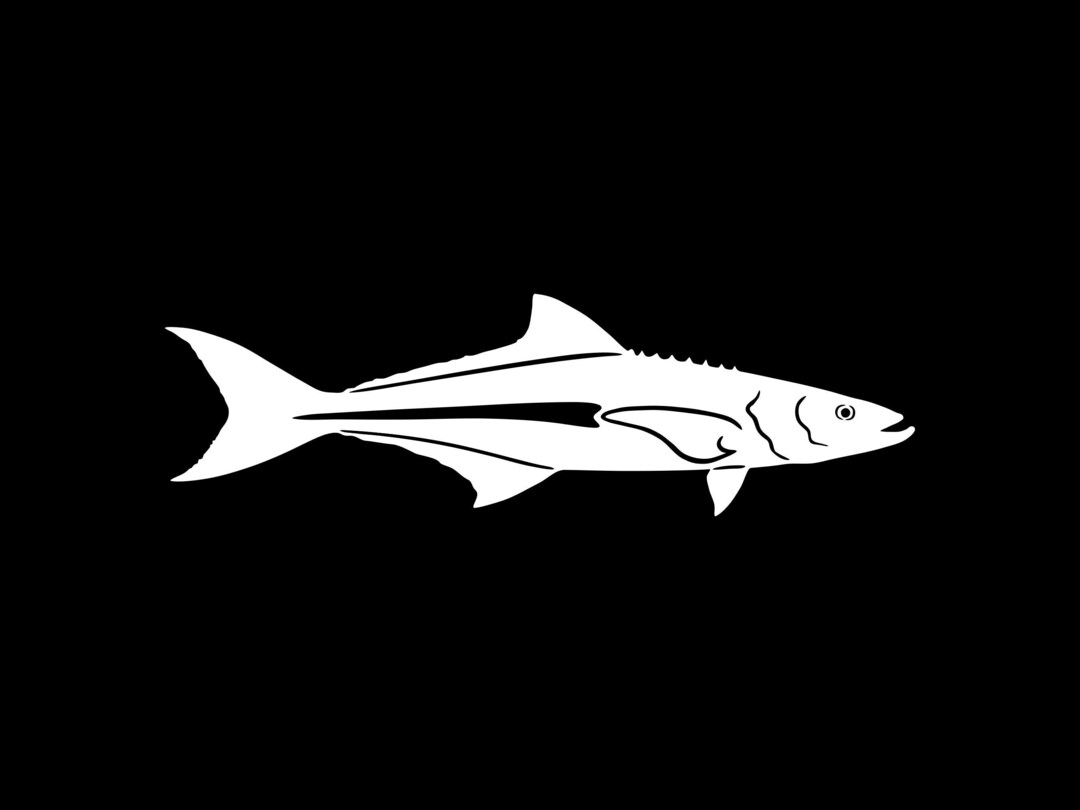 Cobia Sticker, Detailed Silhouette, White Vinyl Decal, Fish Sticker ...