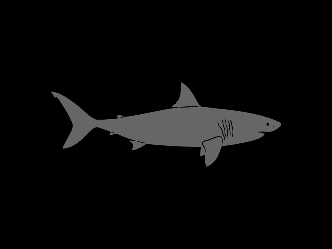 Great White Shark Silver Grey Vinyl Decal Detailed - Etsy