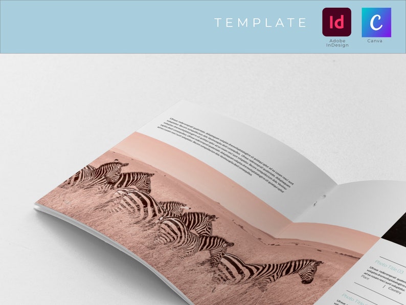 Photography Portfolio Template - Etsy