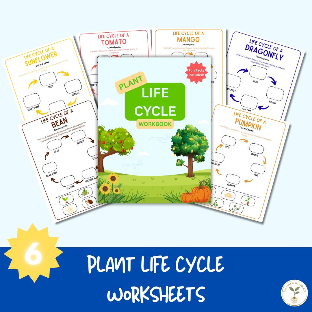 Plant Life Cycle Digital Download: Kids Prints Cut & Glue Printable ...