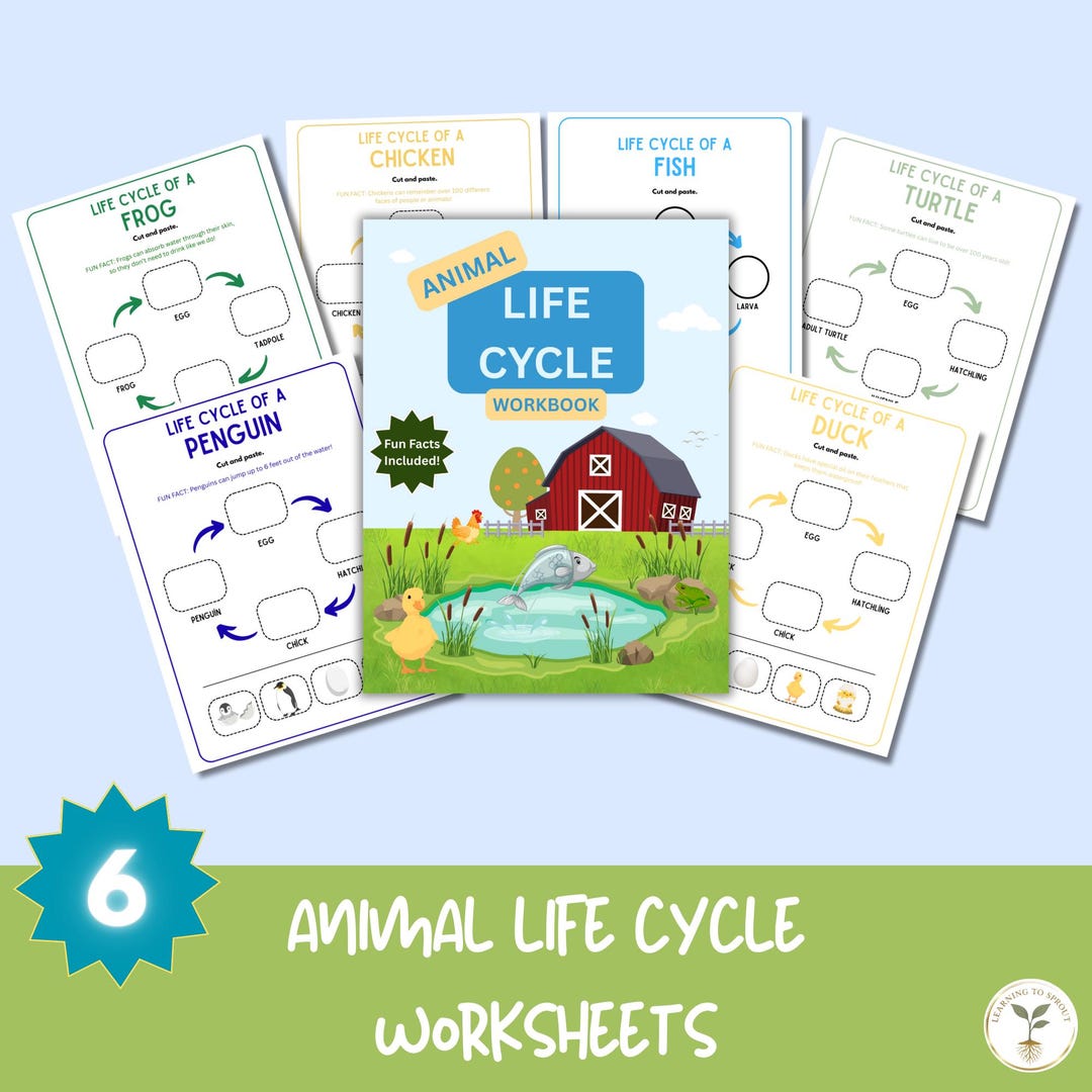 Animal Life Cycle Digital Download: Kids Prints Cut & Glue Printable ...